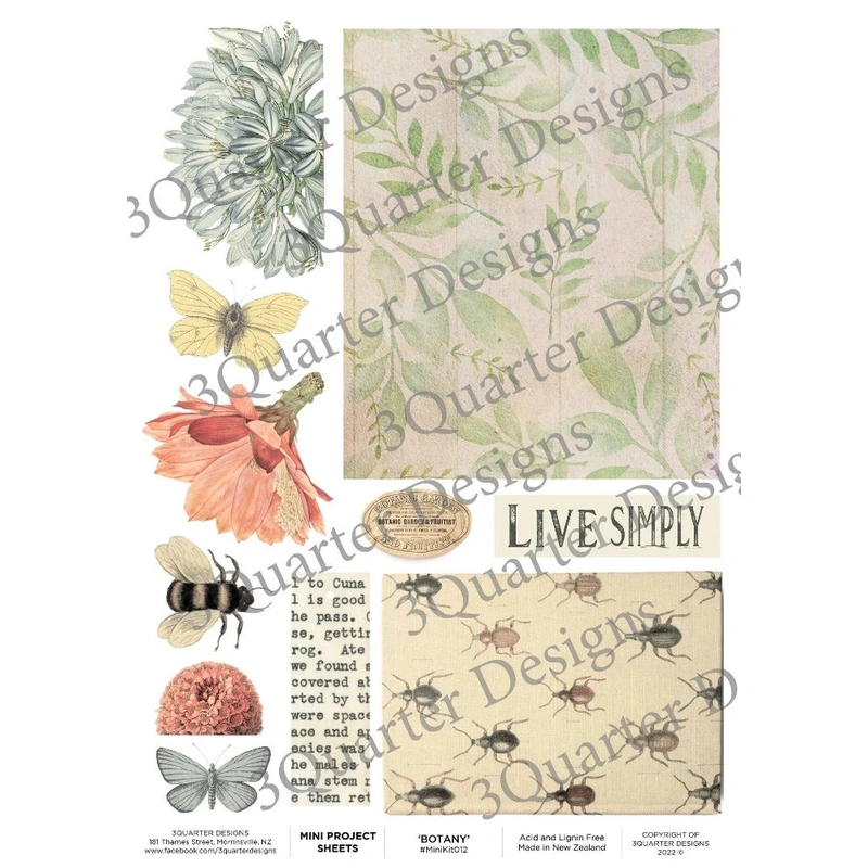 Botany Mini Project Sheet - OfficeMeadow Your Office Supply Oasis